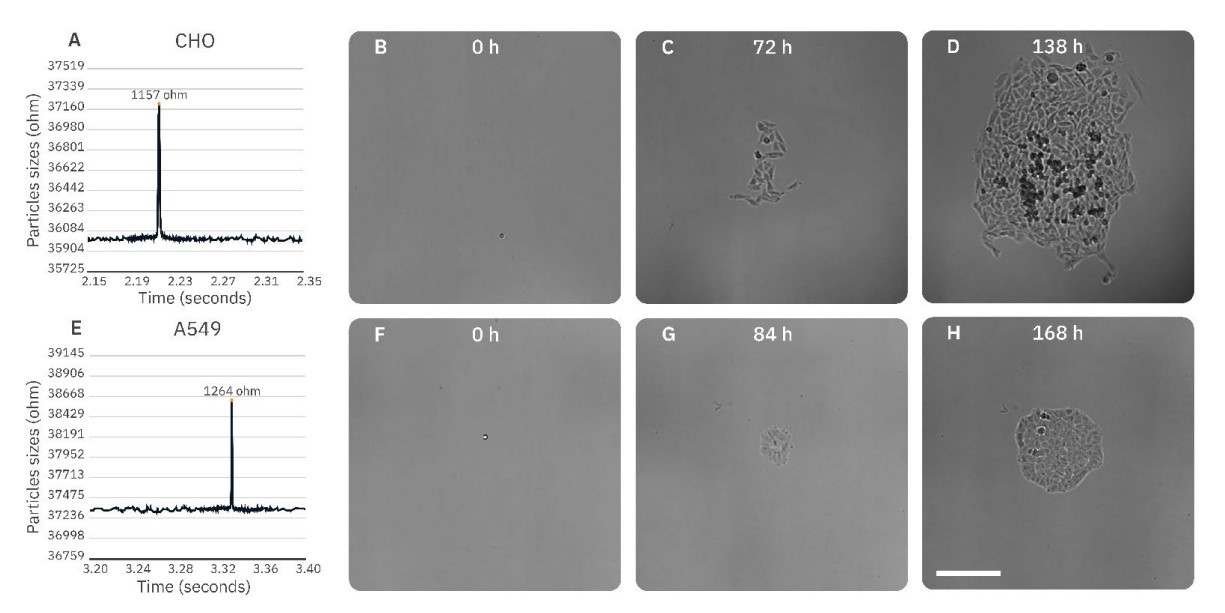 Optimizing single-cell cloning with DispenCell S3 and Omni: Dual assurance of monoclonality ...
